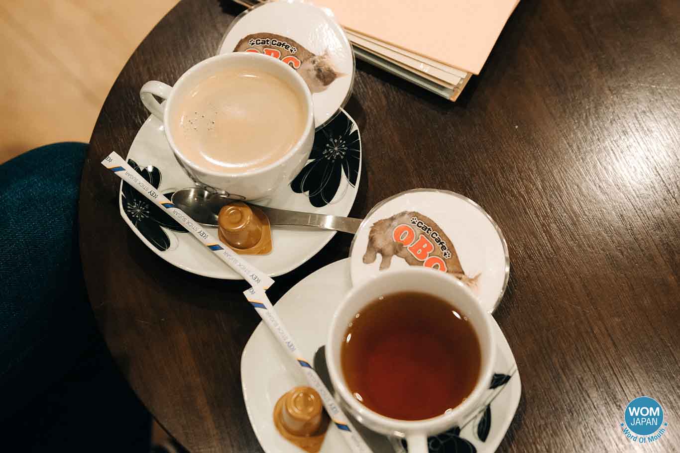 เอาใจเหล่าทาสแมว! ขอพาไปแนะนำร้าน Cat Cafe OBC ณ เมืองฟุกุโอกะ ที่เต็ม ...