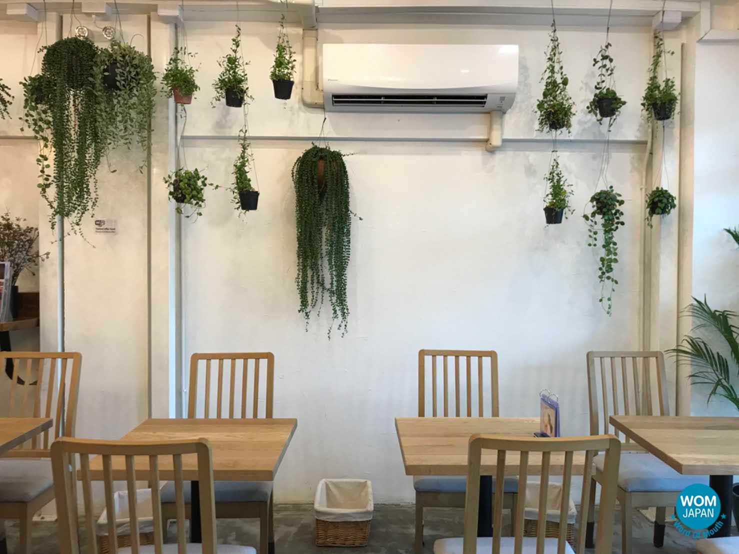 Hakata Coffee ร้านคาเฟ่เปิดใหม่บรรยากาศสไตล์ญี่ปุ่น ที่ใครได้นั่งแล้วจะ ...