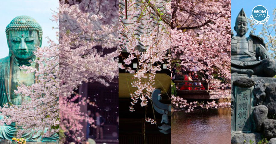 Kamakura Best Sakura Spot ! ปักหมุด 5 จุดชมซากุระแสนสวยในปี 2019 - WOM ...
