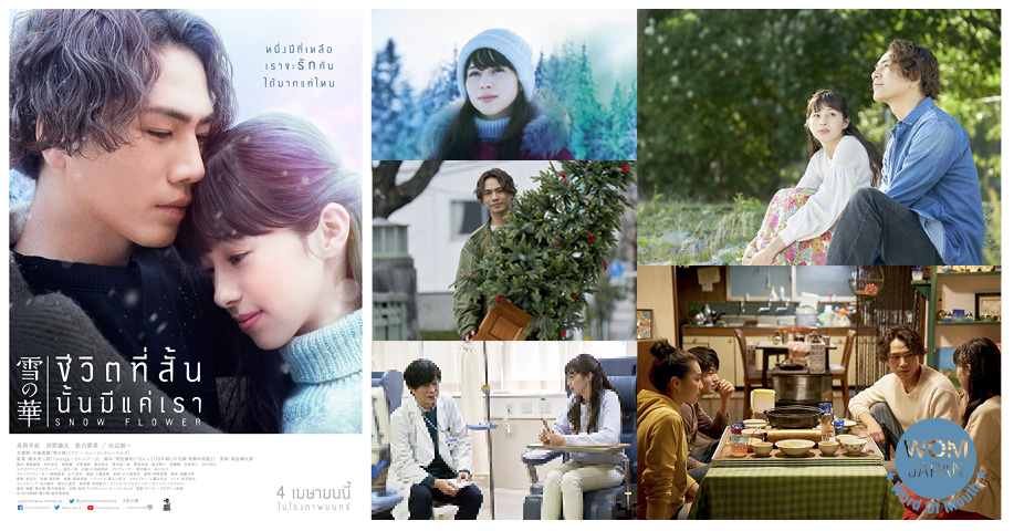 Movie Review : รีวิว Snow Flower ชีวิตที่สั้น นั้นมีแค่เรา - WOM JAPAN